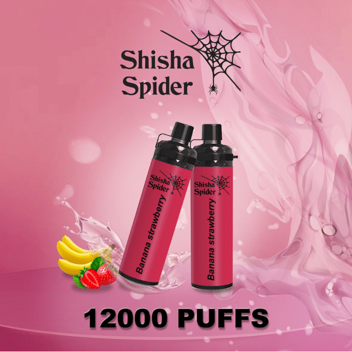 סיגריה אלקטרונית ספיידר 12000 שאיפות | Shisha Spider Vape
